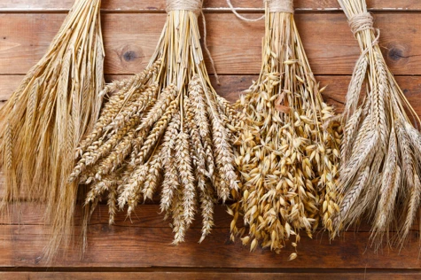 Backmalz selbst gemacht im Thermomix® | Vorwerk Thermomix